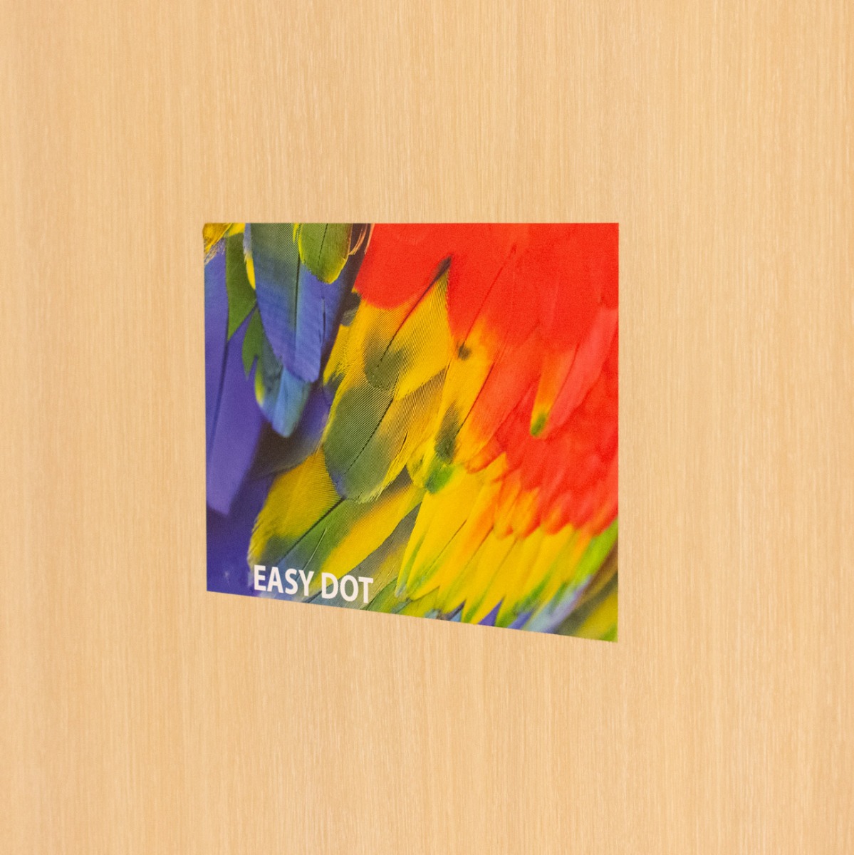 EasyDot - Wiederverwendbare Folie - ab 17.5€/m² - bannerstop